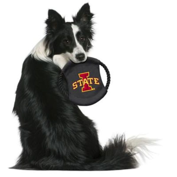 Iowa State Cyclones – Sporty Pets Online